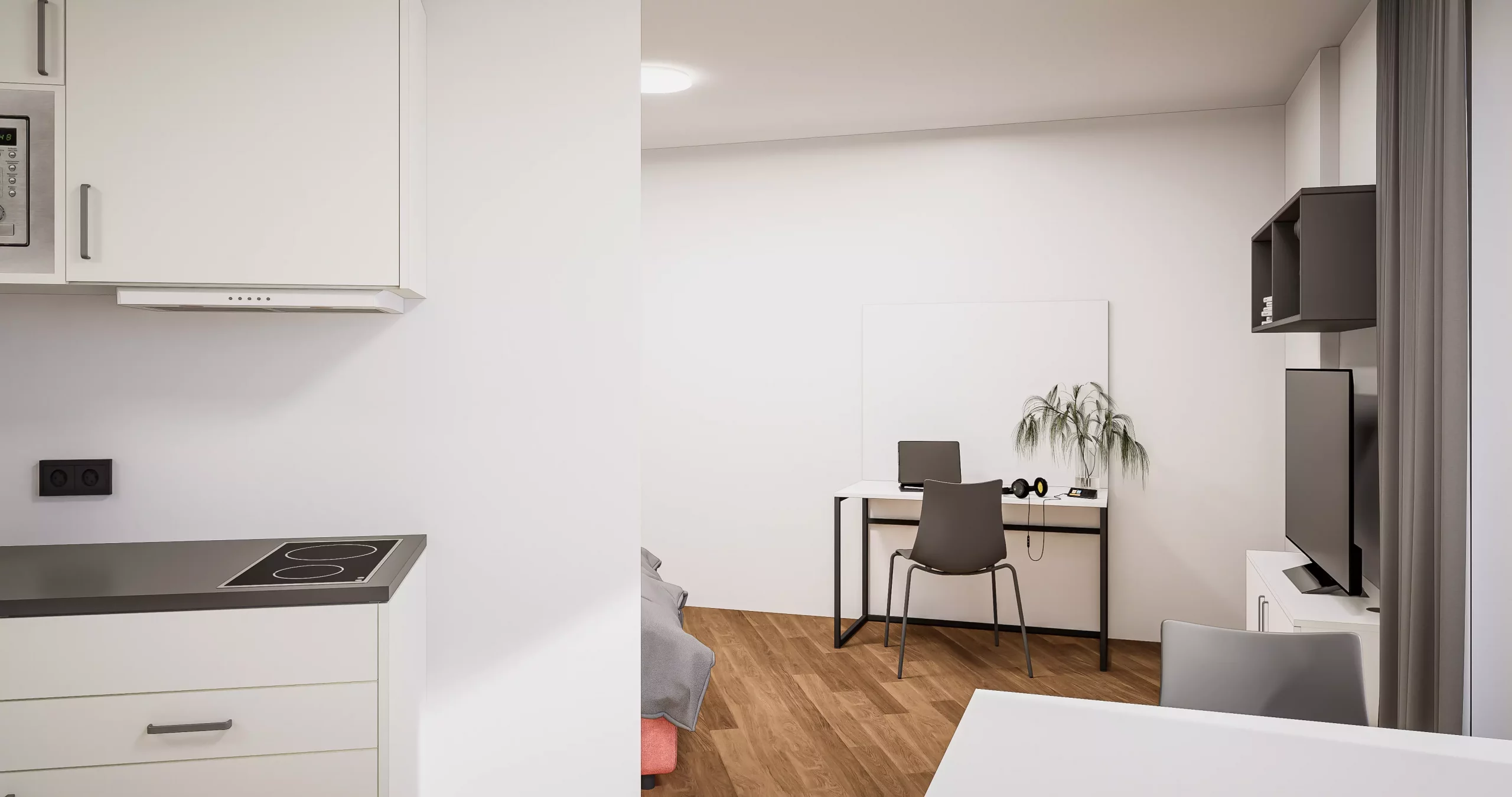 Studio L - EFFI studios